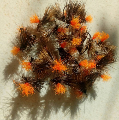 tabanas – Aquas viventes